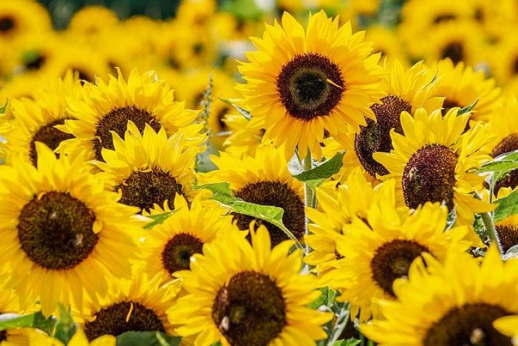 Nieuwe berichten bij Lief en Leed | kerk-de-ark